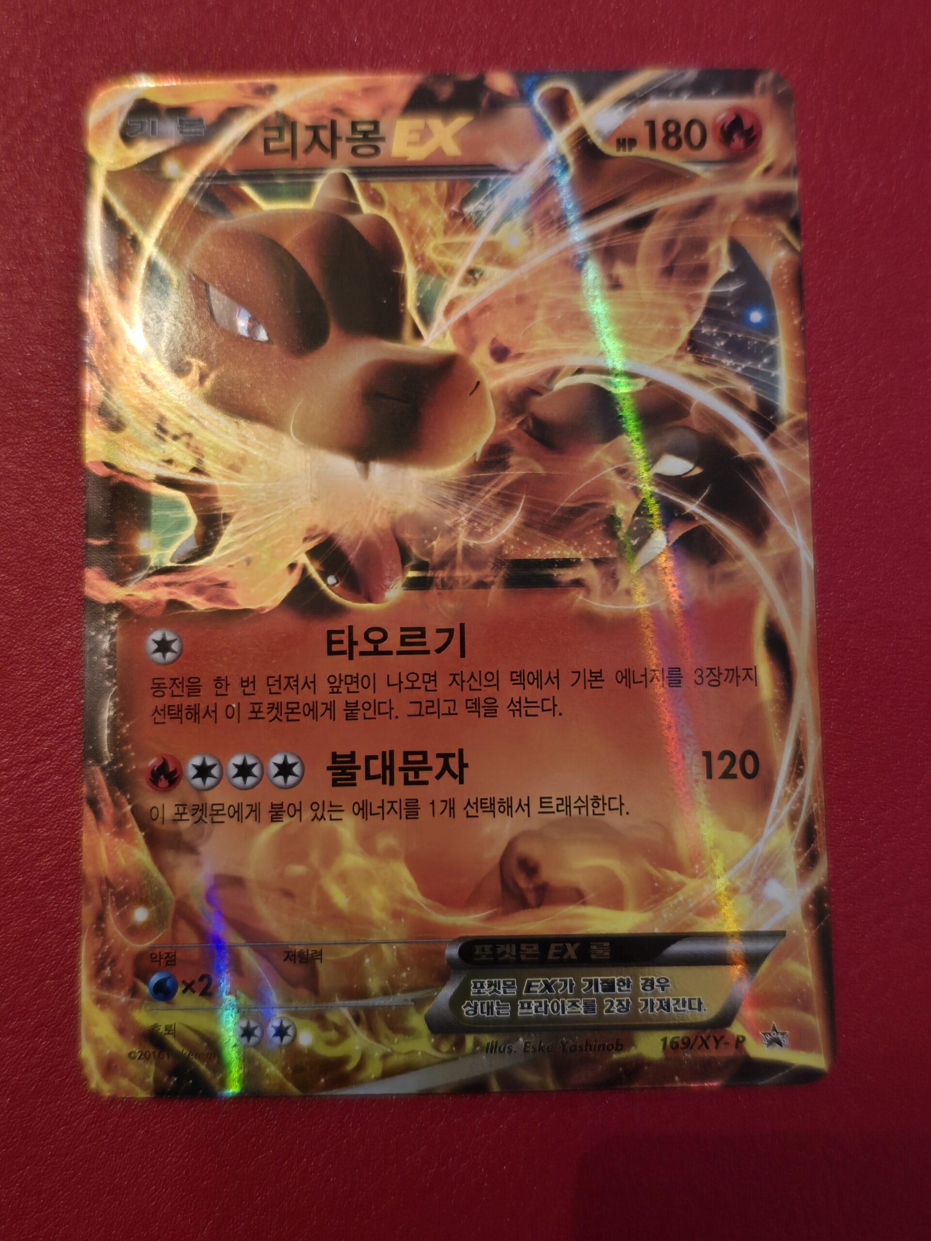 Charizard EX (169/XY-P Korean Promo) – PokeBiH